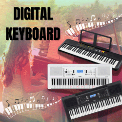 Haani Music Instruments - Buy Musical Instruments Online in Pakistan
